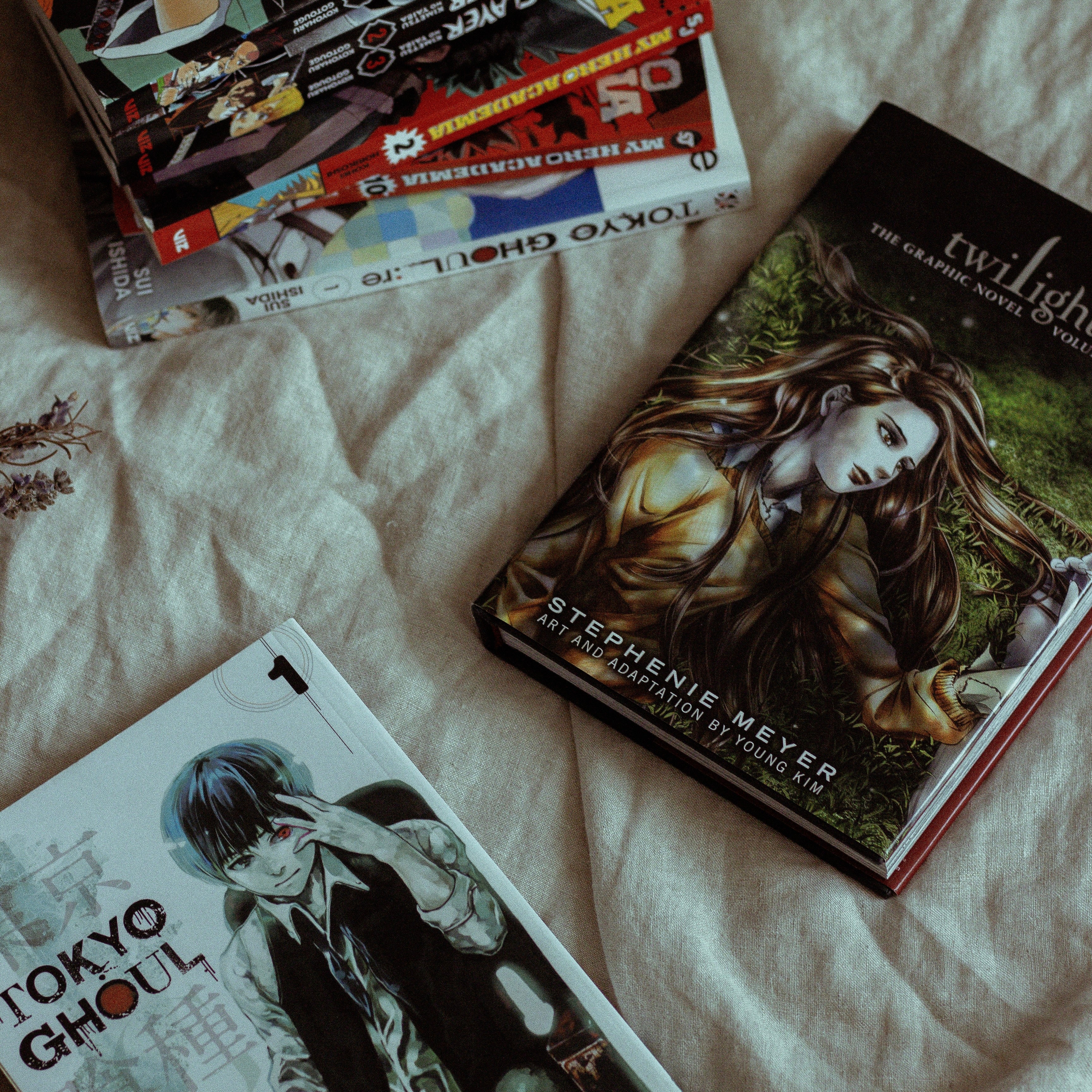 Graphic Novels, Comics & Manga – Saint Dante